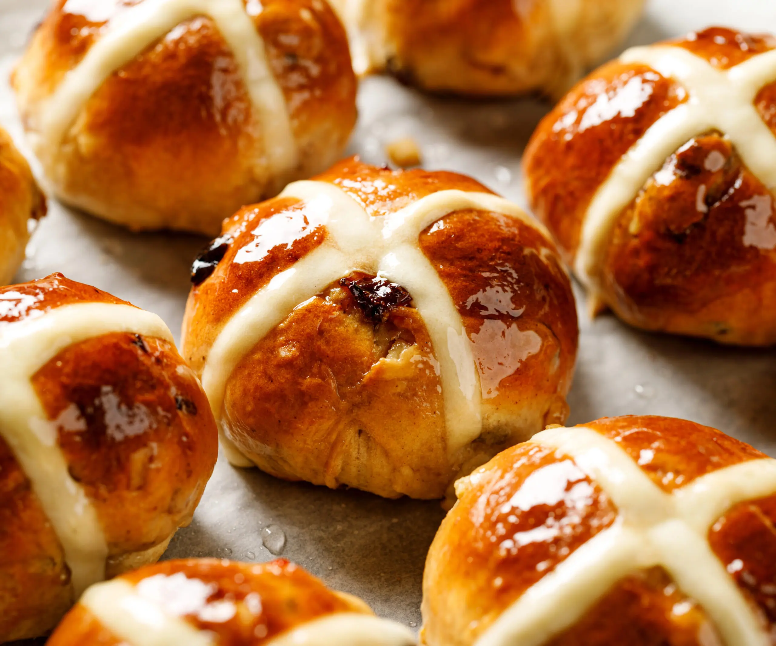 Bun & Roll Dividers, Rounders & Roll Lines - Harvest Corporation